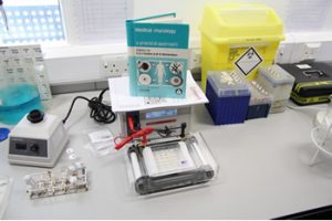 Fungal antibody testing - Life Worldwide