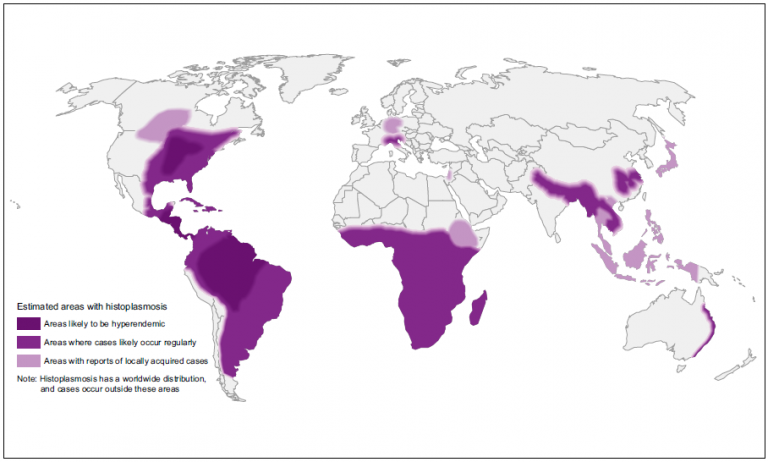 Endemic mycoses - Life Worldwide