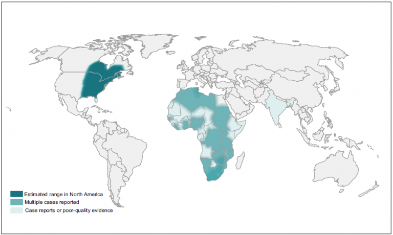 Endemic mycoses - Life Worldwide