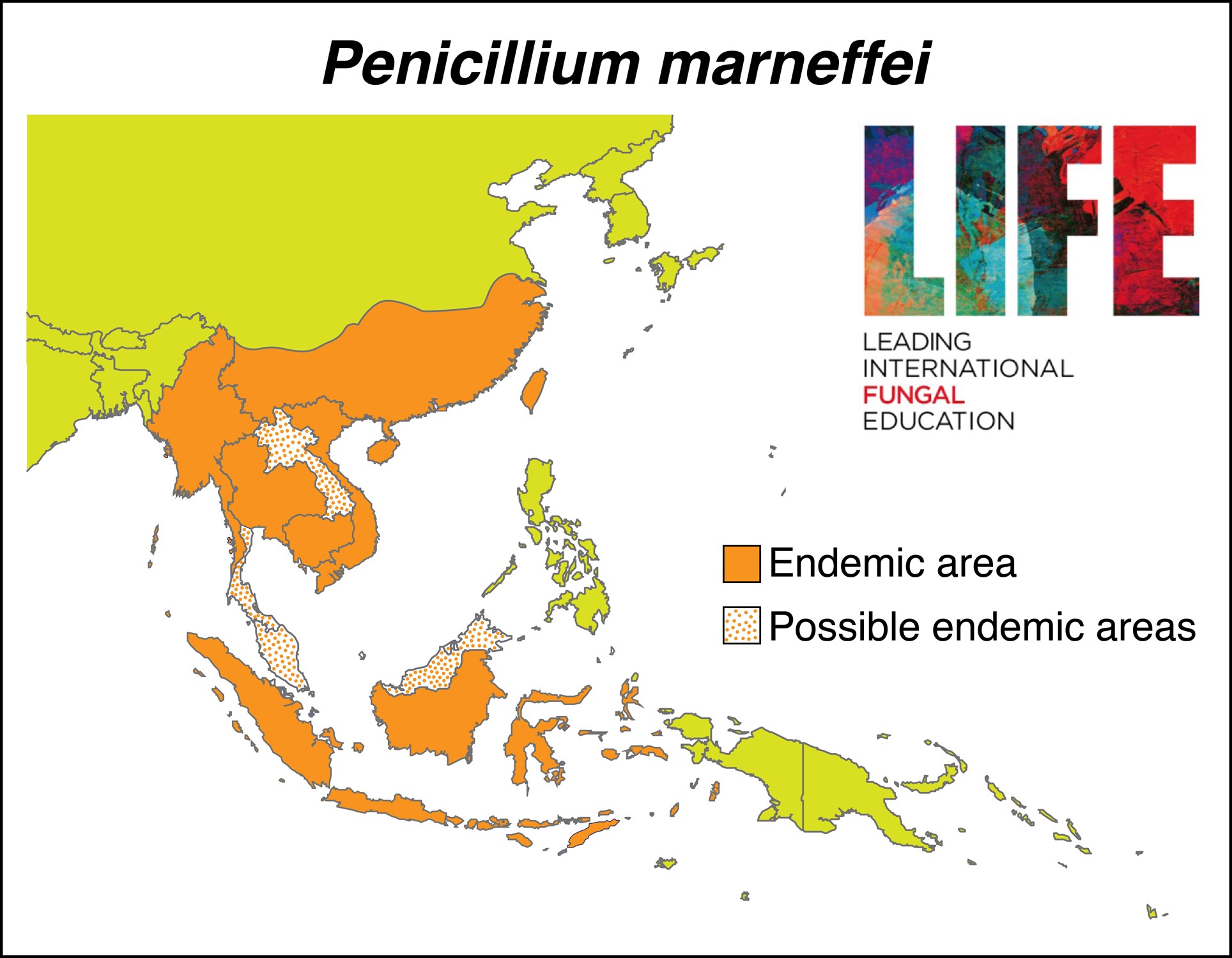 Talaromycosis - Life Worldwide