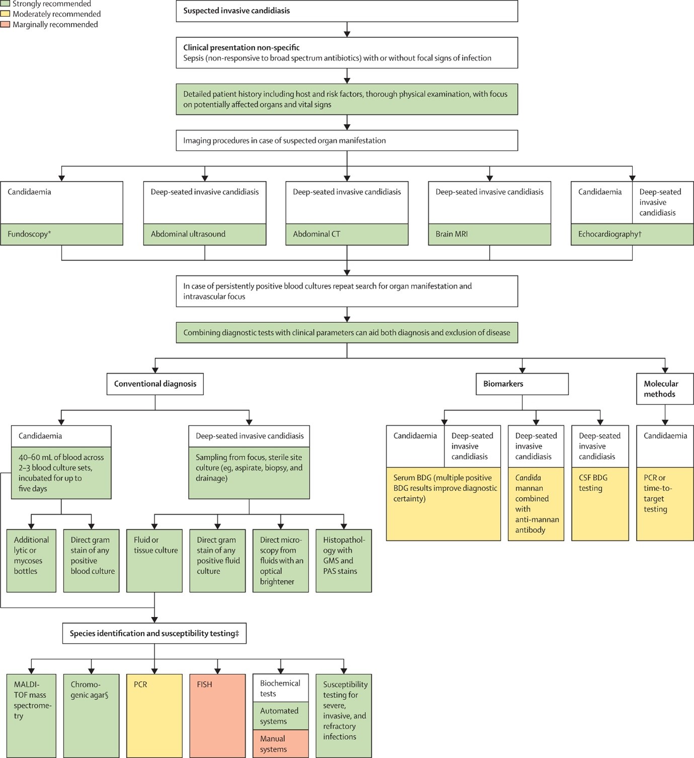 New global guideline for candidiasis - Life Worldwide
